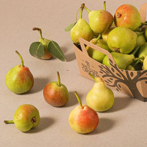 Botiga d’alimentació - Alimentació saludable