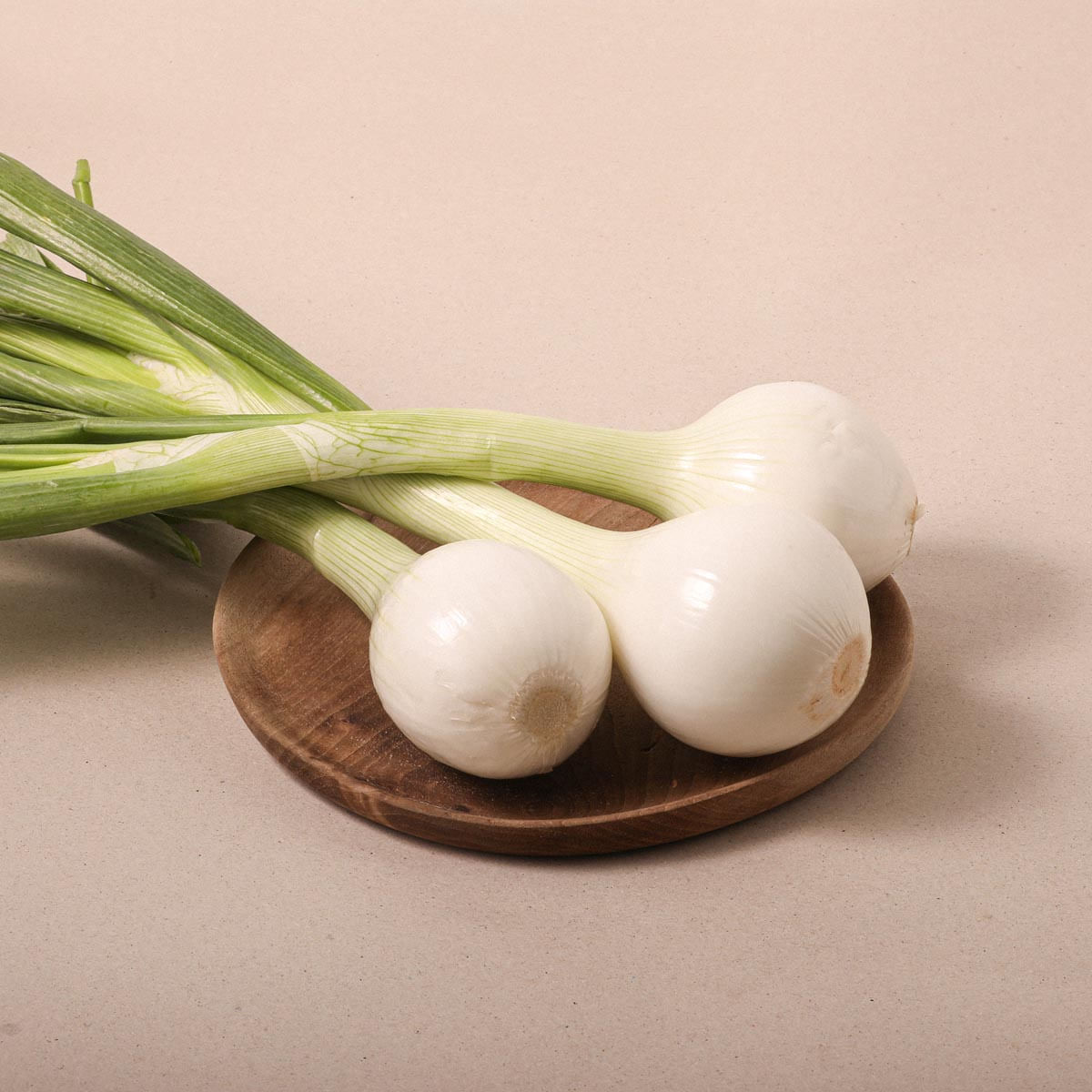 Ceba tendra de Fuentes - manat AmetllerOrigen